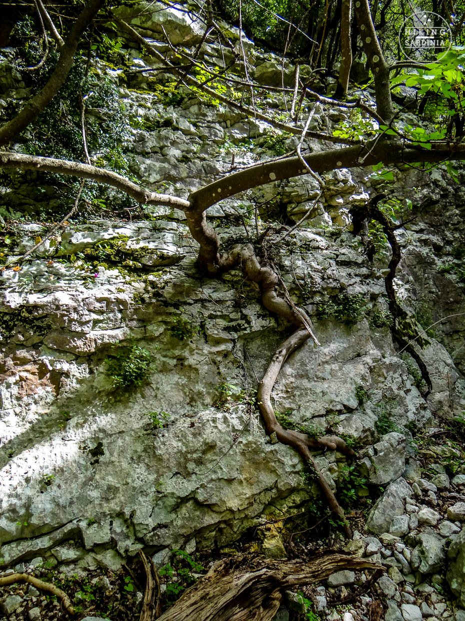 S’Istrada Longa – Hiking in Sardinia